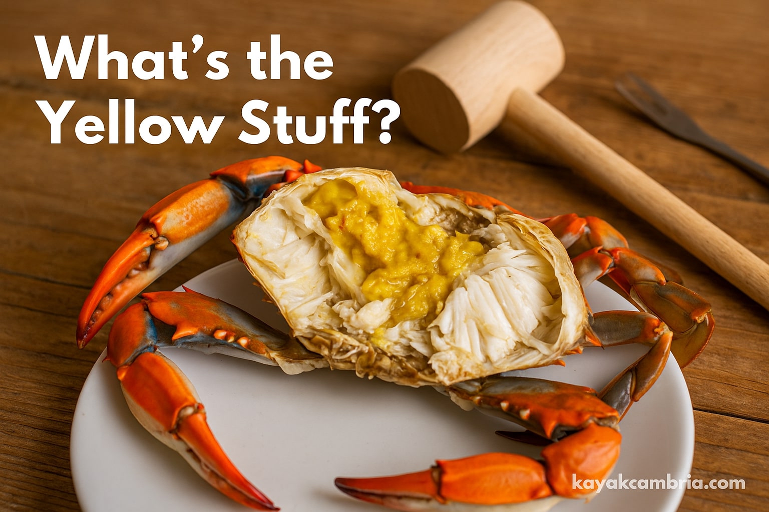 What's the Yellow Stuff inside a Crab?| Complete Guide |2025