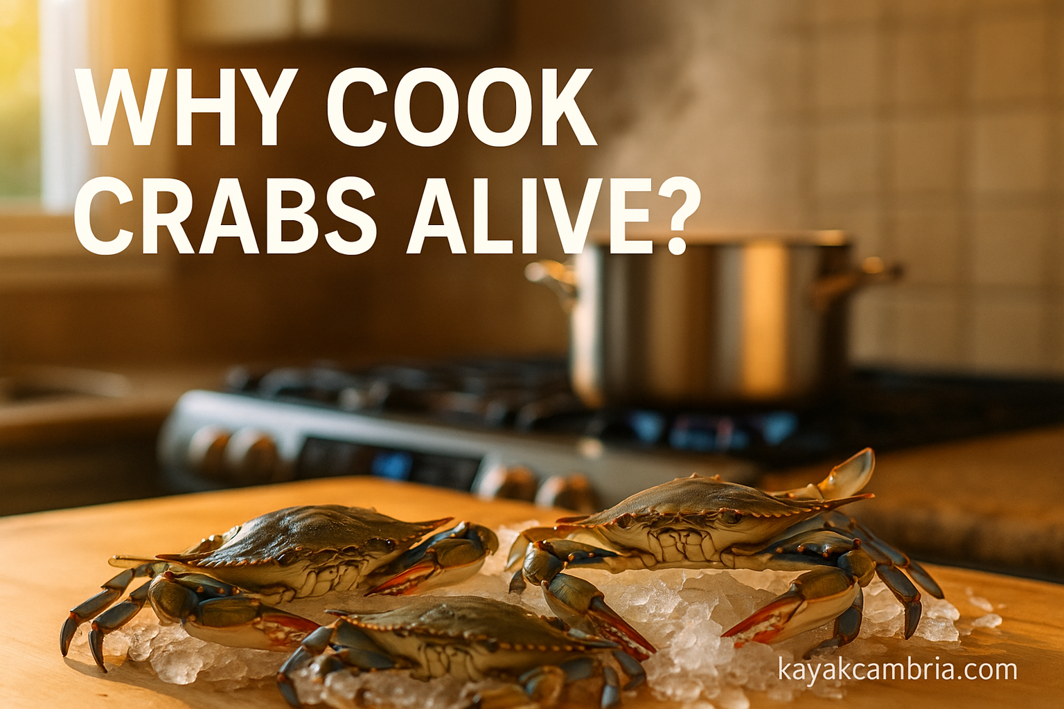 Why Are Crabs Cooked Alive? Is It Really Necessary? | 2026