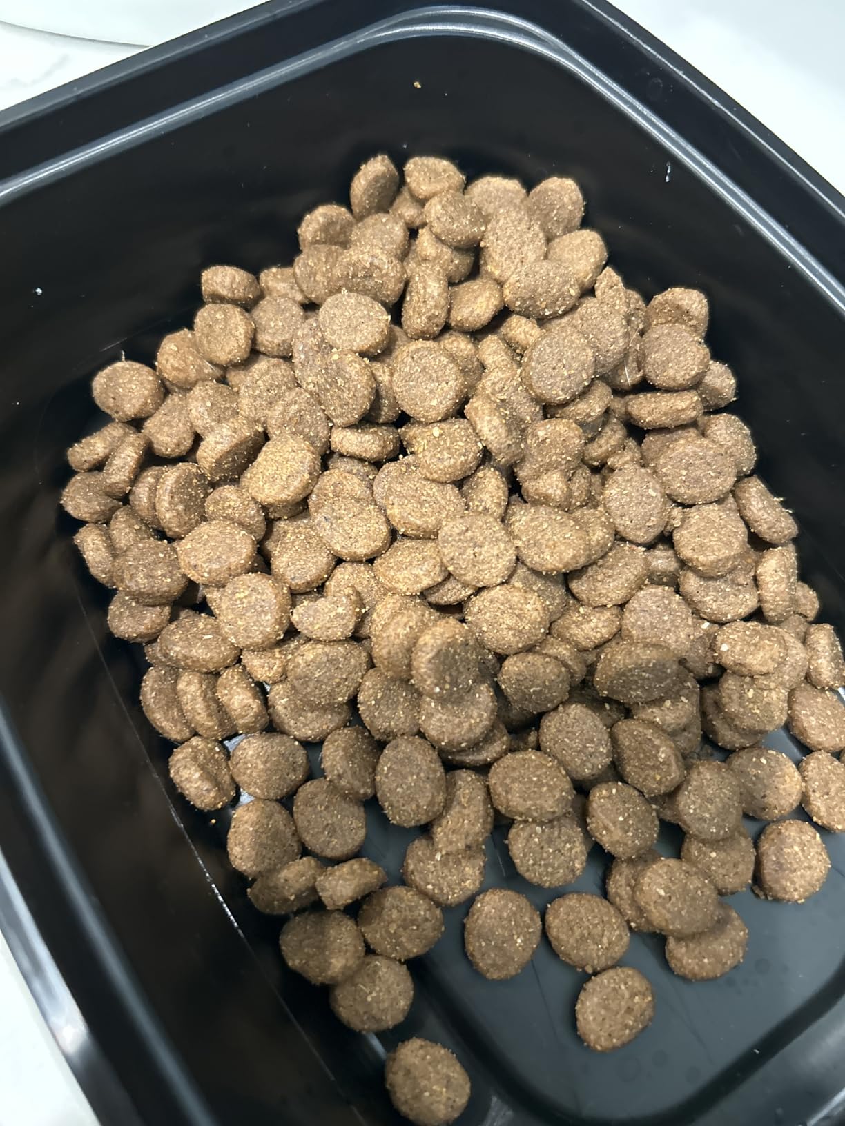 15 Best Grain Free Dog Food (June 2026) - Expert Reviews