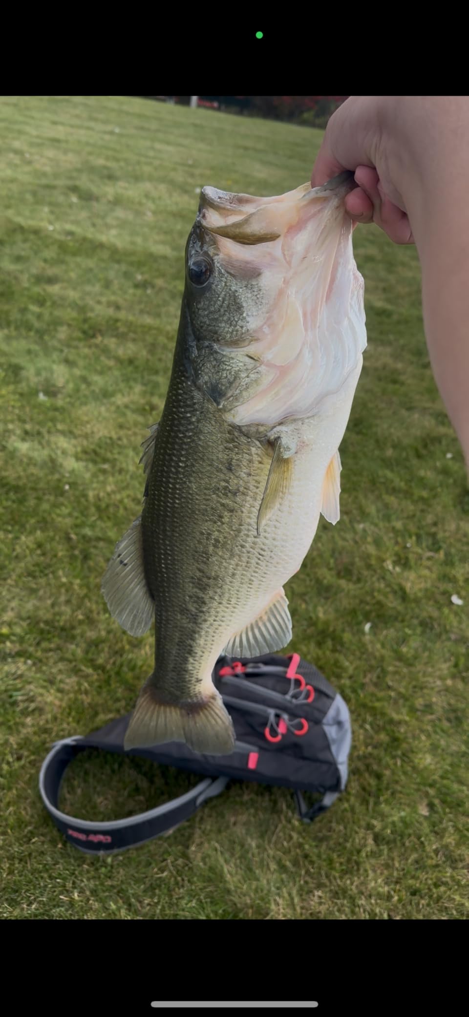 14 Best Baitcasting Rods for Largemouth Bass (July 2026)