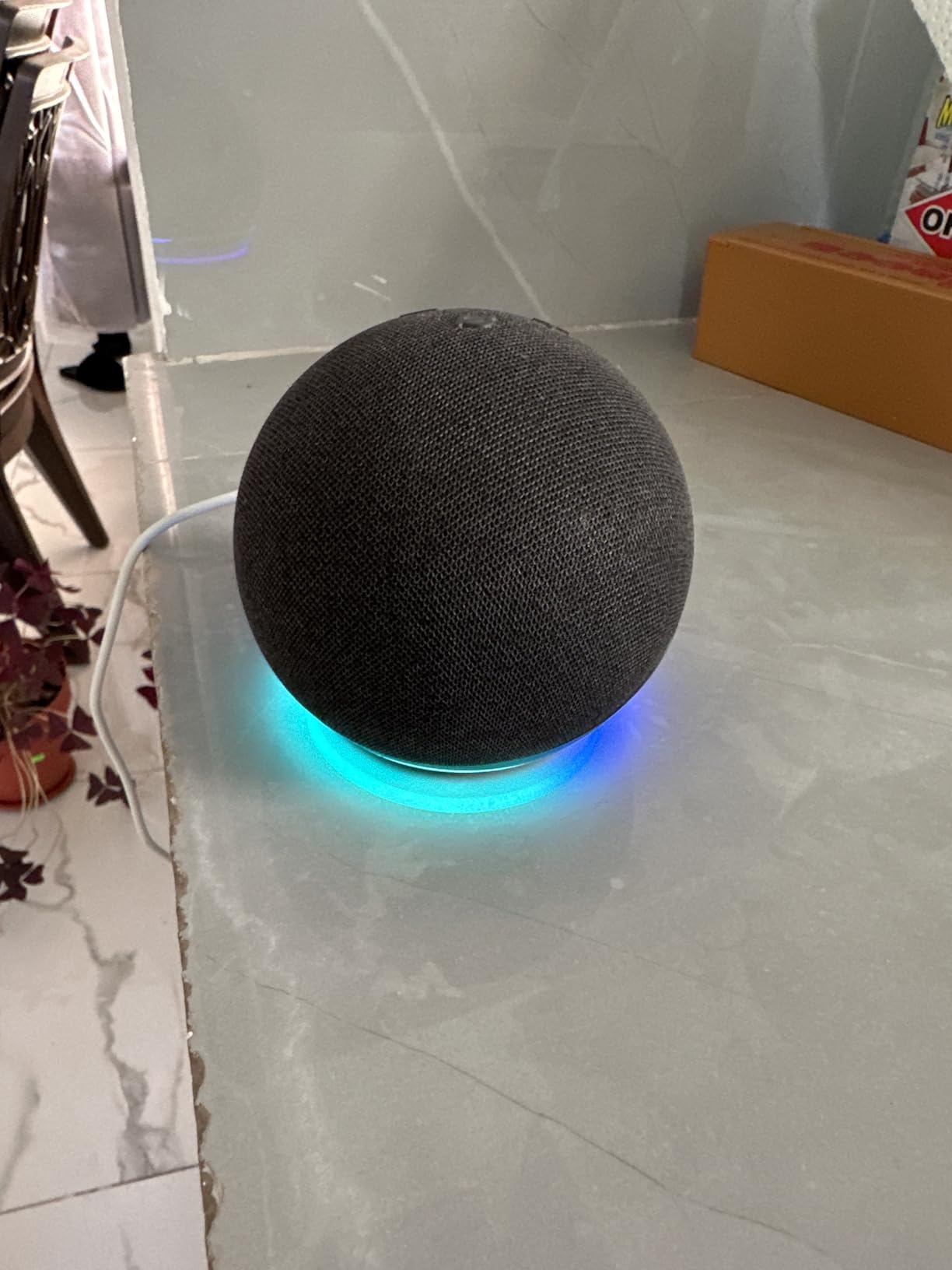 10 Best Alexa Devices (June 2026) Expert Reviews