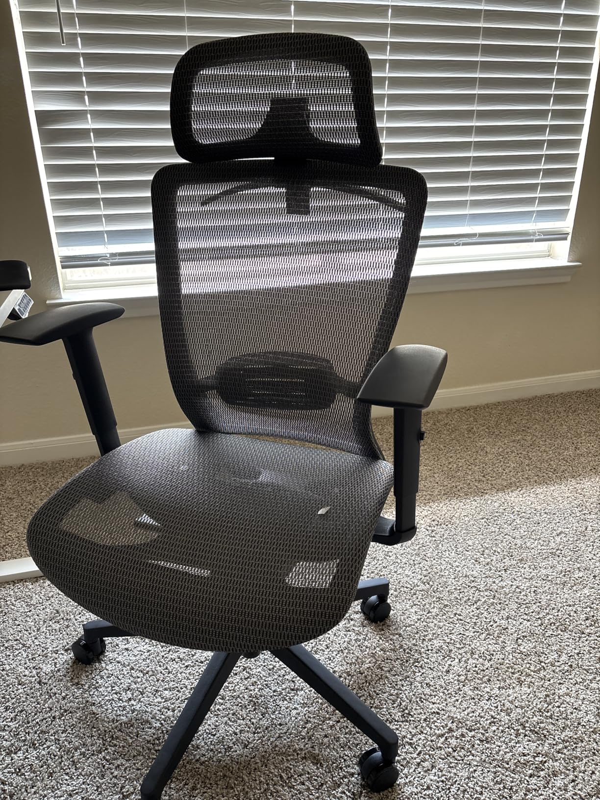 12 Best Mesh Office Chairs (June 2026) Expert Reviews