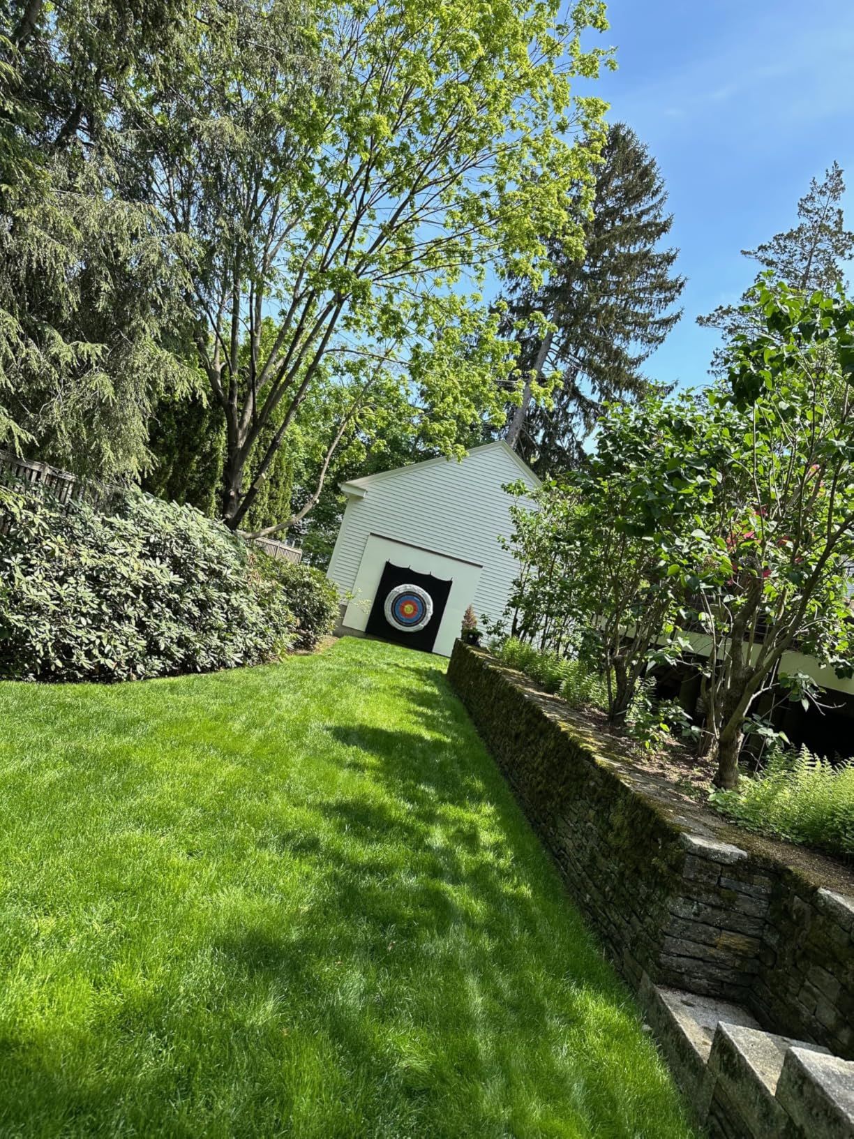 10 Best Electric Lawn Mowers (June 2026) Expert Reviews