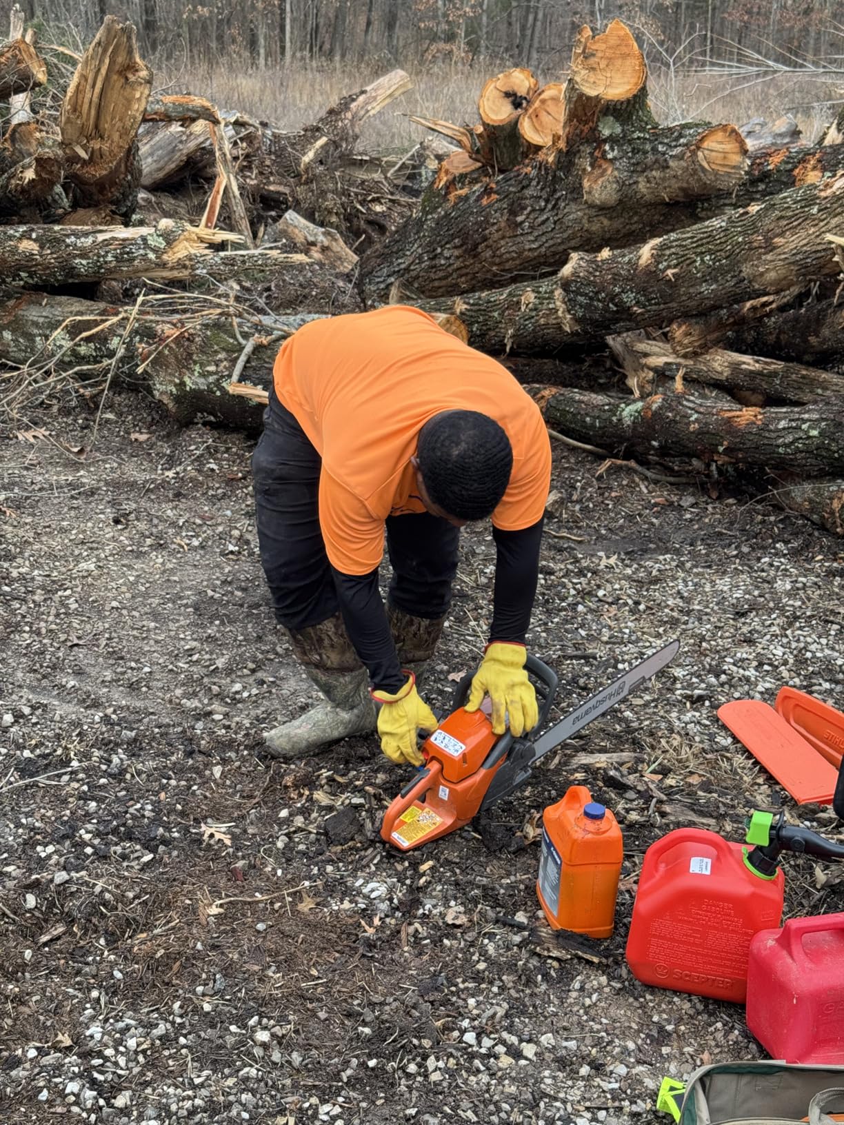 10 Best Gas Chainsaws for Cutting Firewood (July 2026)