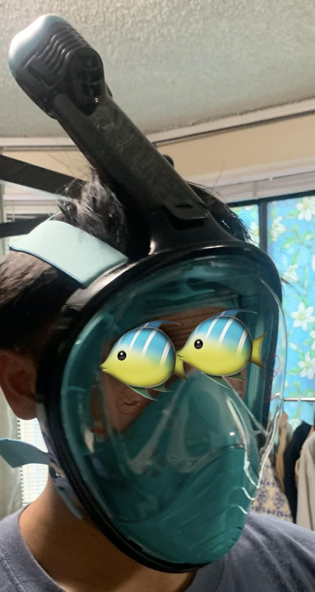 10 Best Full Face Snorkel Masks for Beginners (May 2026 Guide)