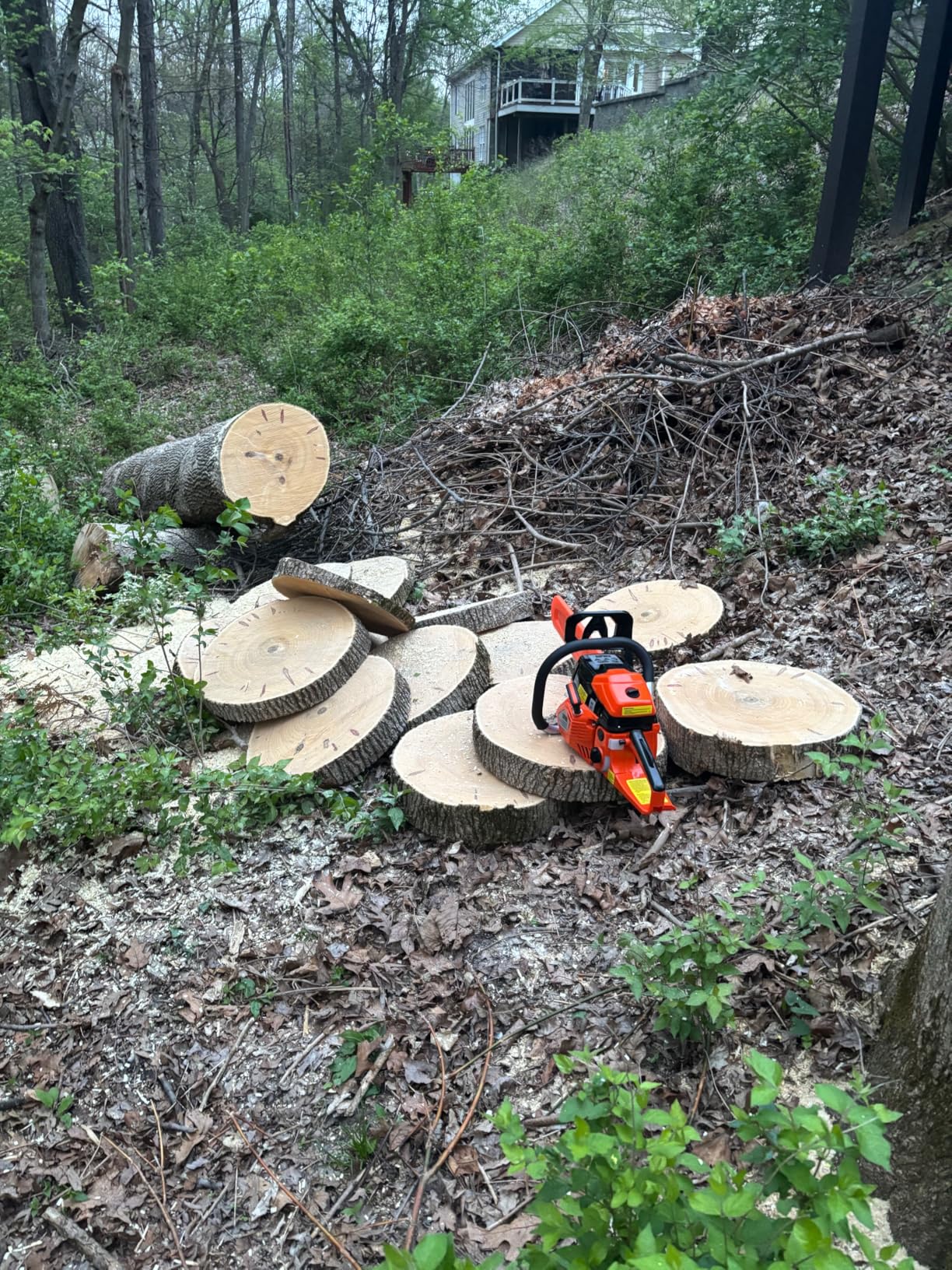 10 Best Gas Chainsaws for Cutting Firewood (July 2026)