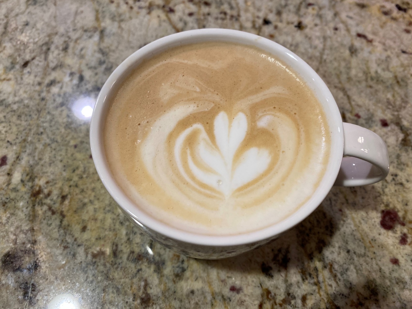 9 Best Breville Espresso Machines (June 2026) Expert Reviews