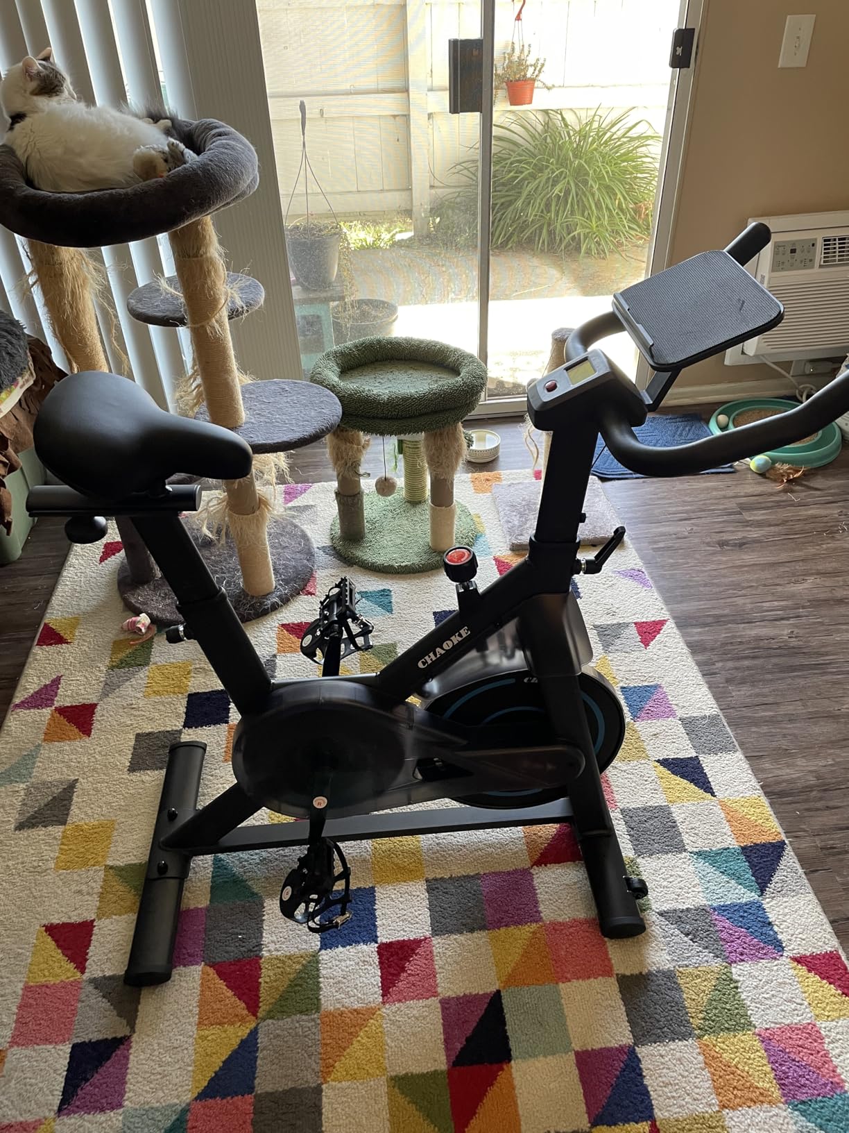 10 Best Spin Bikes (June 2026): Expert Tested Reviews