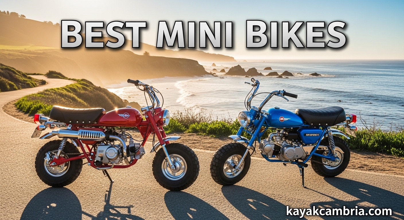 6 Best Mini Bikes (July 2026) Expert Reviews and comparisons